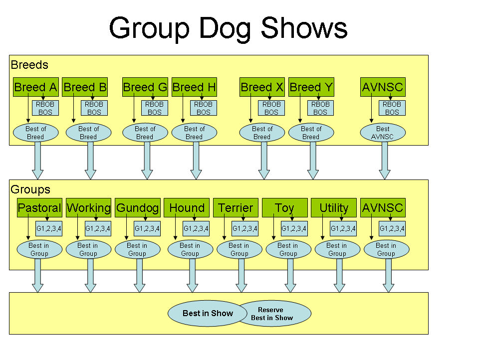 Dog Show Central UK Show Terminology